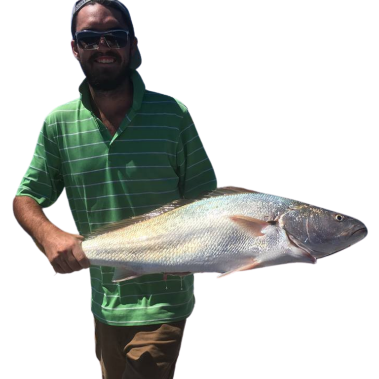 Adelaide Fishing Charters Prices & Packages - Snapper Fishing Charter ...